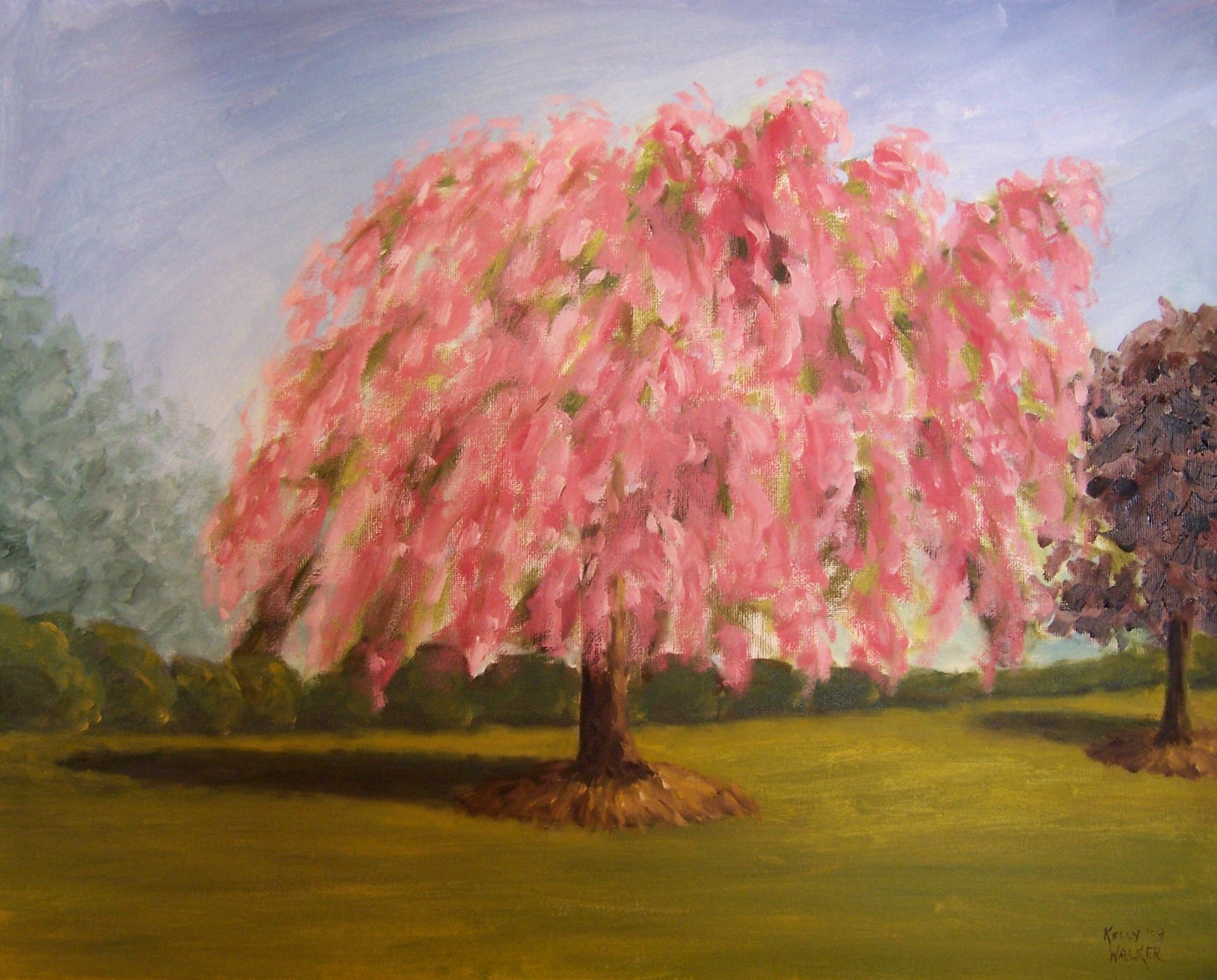 Susan’s Weeping Cherry Tree | The Studio